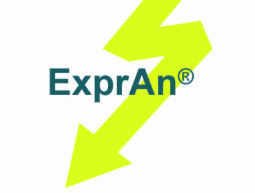 ExprAn - Das ExpressAnfragesystem